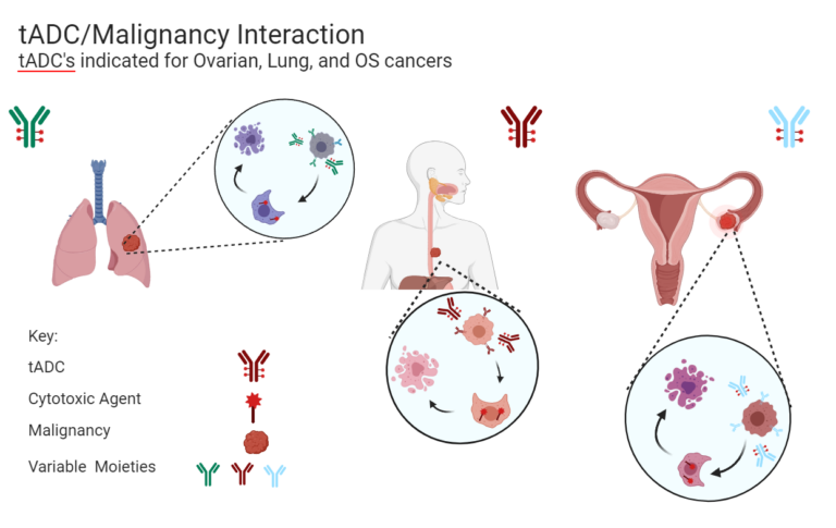 Pipeline & Technology | OS Therapies